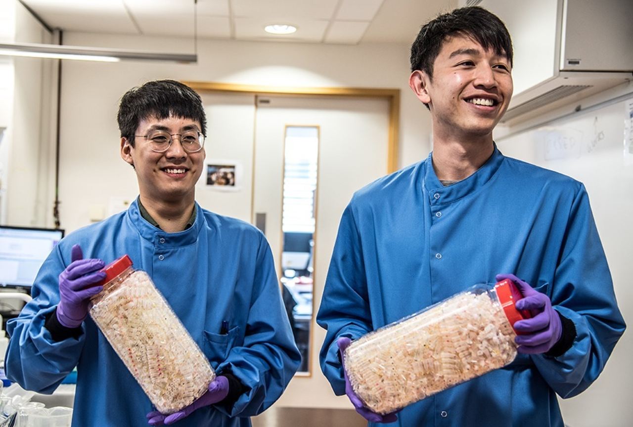 Boon Lim's COVID-19 team awarded RAE President's Special Award | St ...