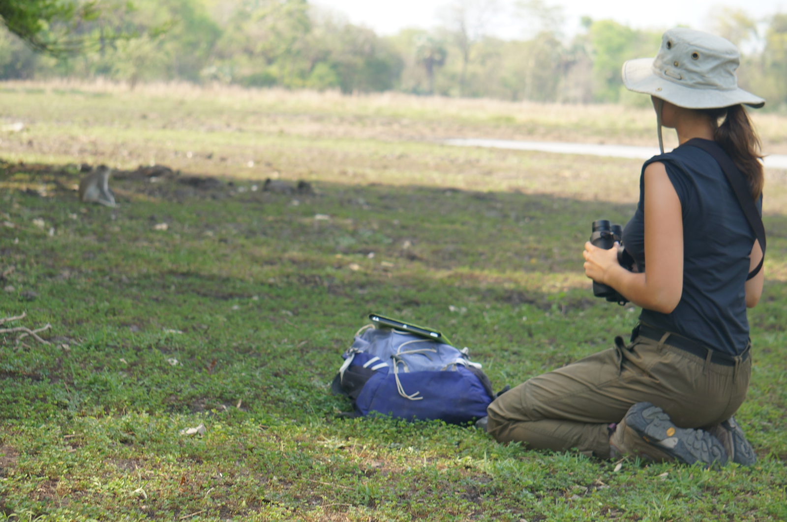 Flash Talk: Studying vervet monkeys | St Cross College