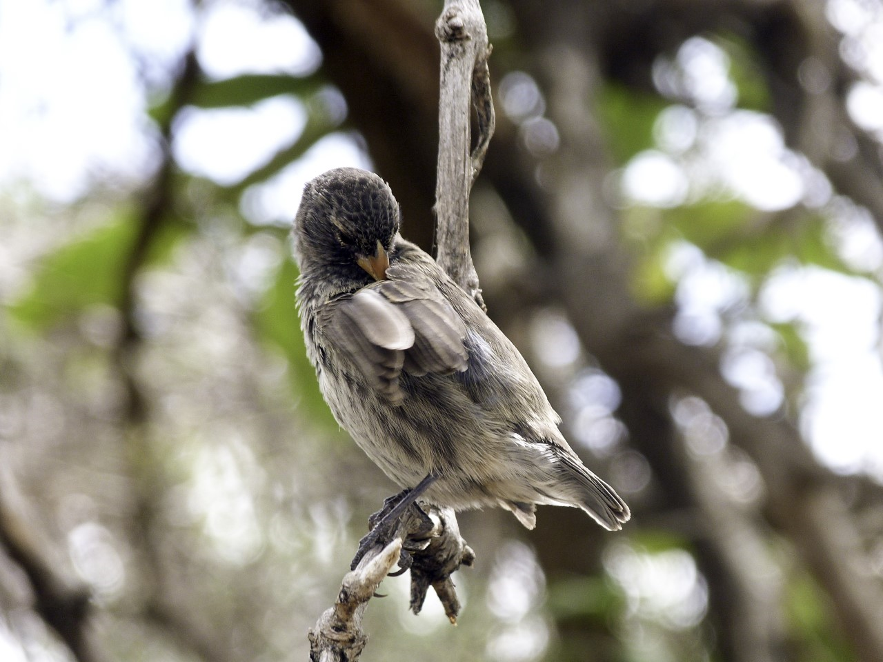 Winners of the Photography Competition Announced | St Cross College