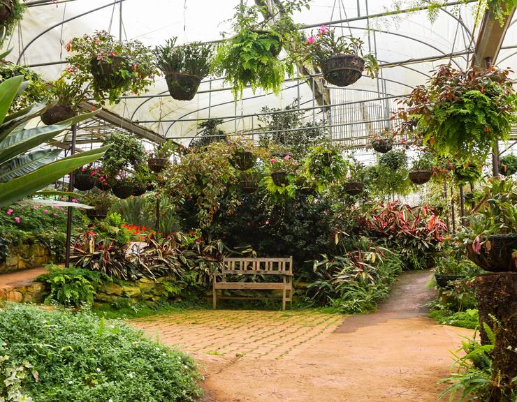 Oxford Botanical Garden Tour | St Cross College